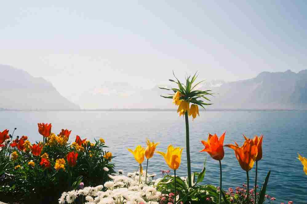 🚀 Aprender a programar | códigoencasa.com